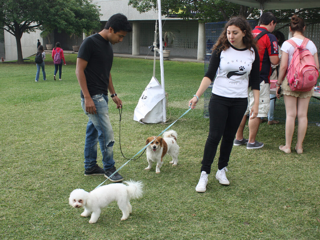 Promueven la adopción de mascotas - Agencia Informativa UDEM